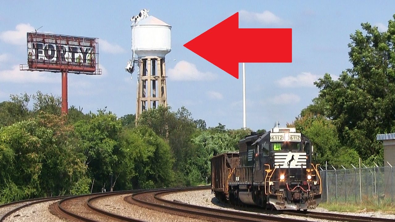 Trains and the Chick-fil-A Cows - YouTube