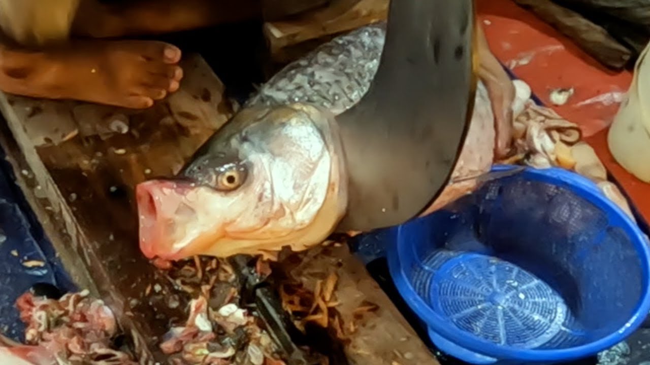 Rui Fish Cutting | Rohu Fish Cutting - YouTube