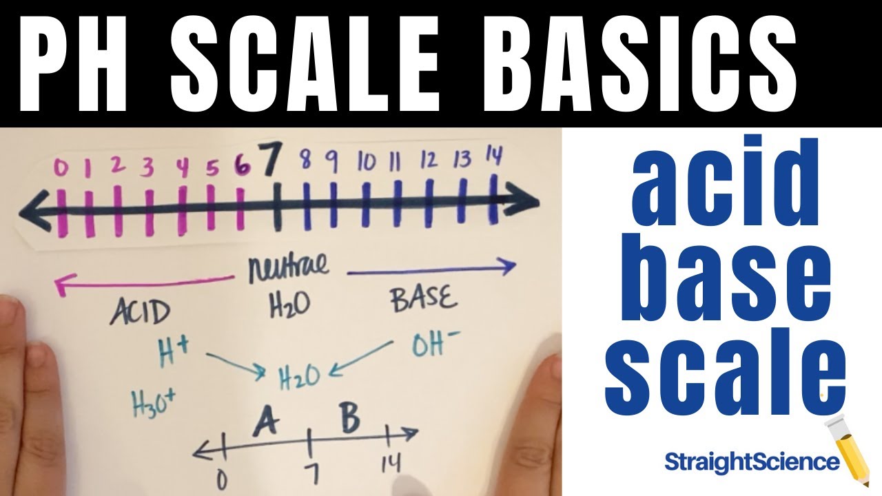 pH Scale Basics - What is it? Hydromium and Hydroxide Concept ...