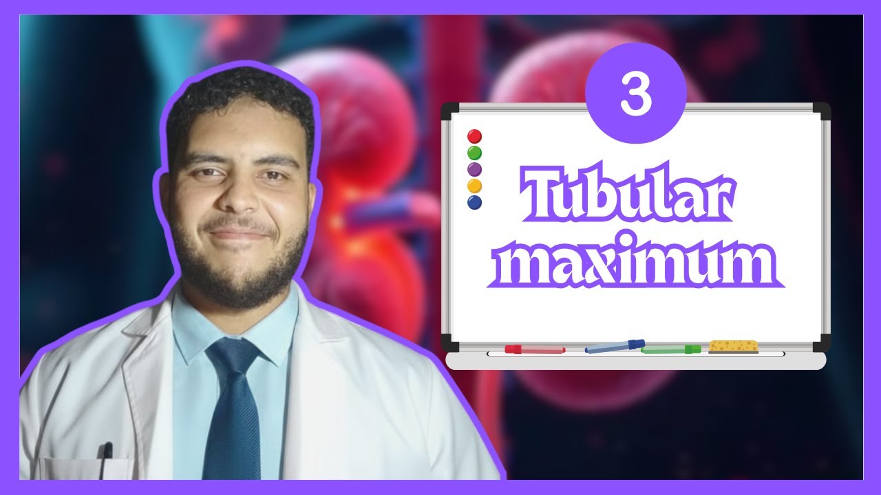 Renal system 3 | Tubular maximum - YouTube