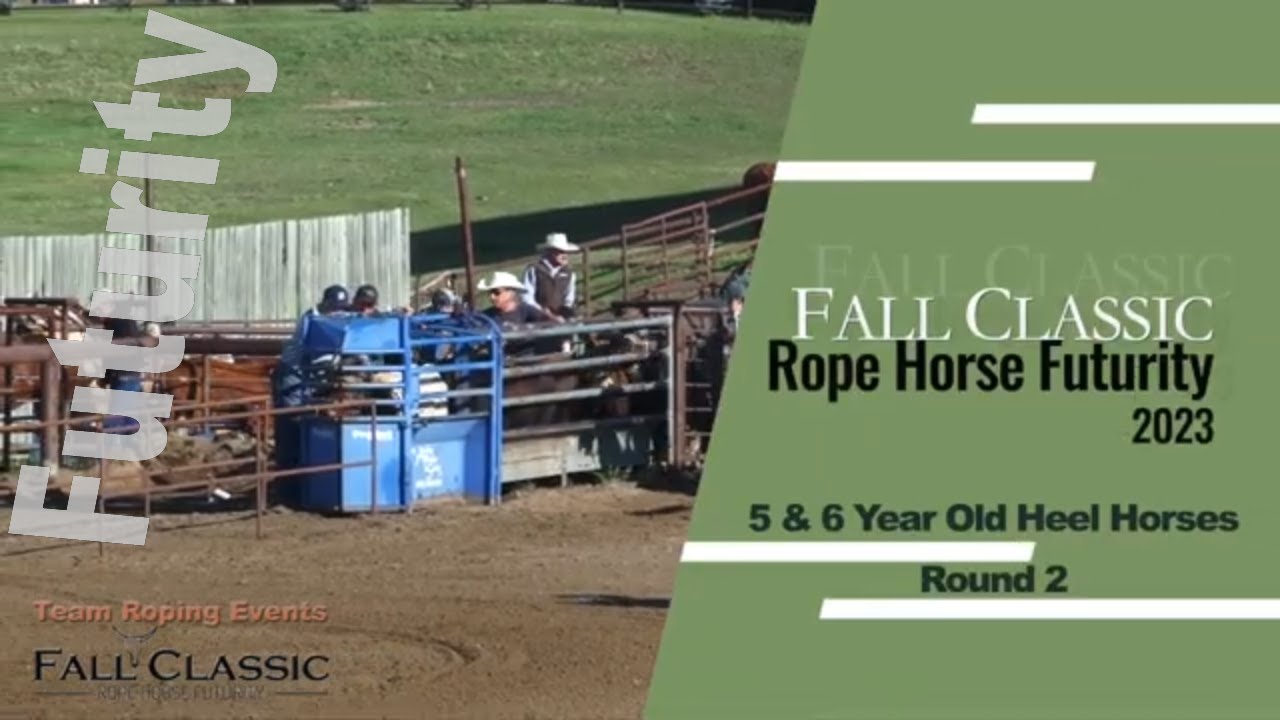Fall Classic Rope Horse Futurity 2023 - Heel Horses Round 2 - YouTube
