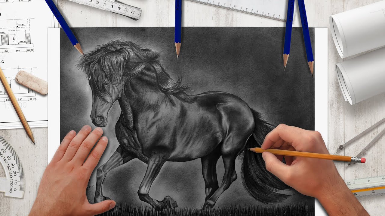 Drawing Realistic Horse with graphite pencils | Hyper-Lapse Video ...