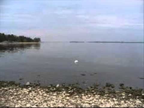 Ruissalon rantaa Matti Salminen säv ja san Maire Pohjanheimo.wmv