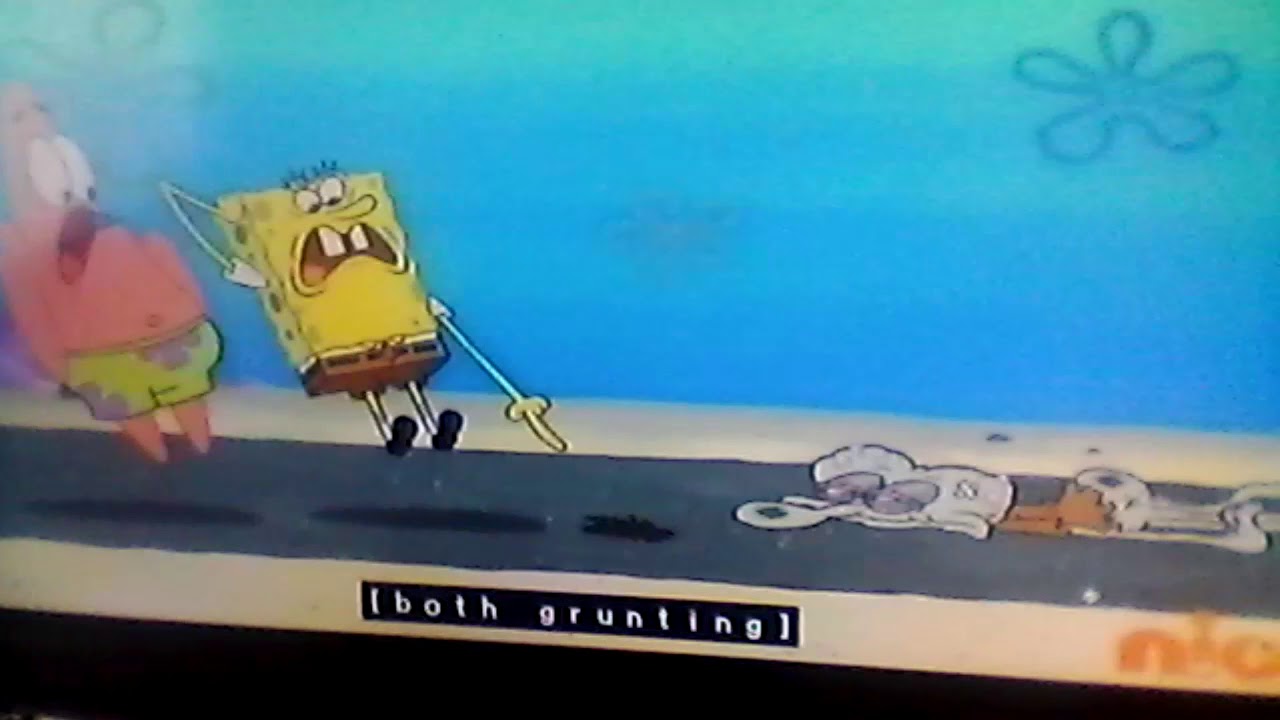 Sea spider - YouTube