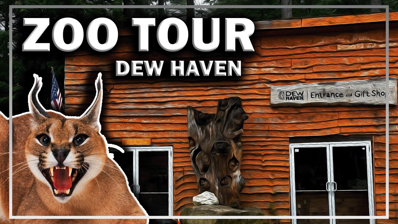DEW HAVEN - Maine Zoo & Rescue - Full Zoo Tour Walkthrough - YouTube