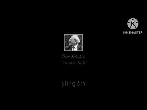 Sezai Karakoç Donuk Aşk - şiirgâh
