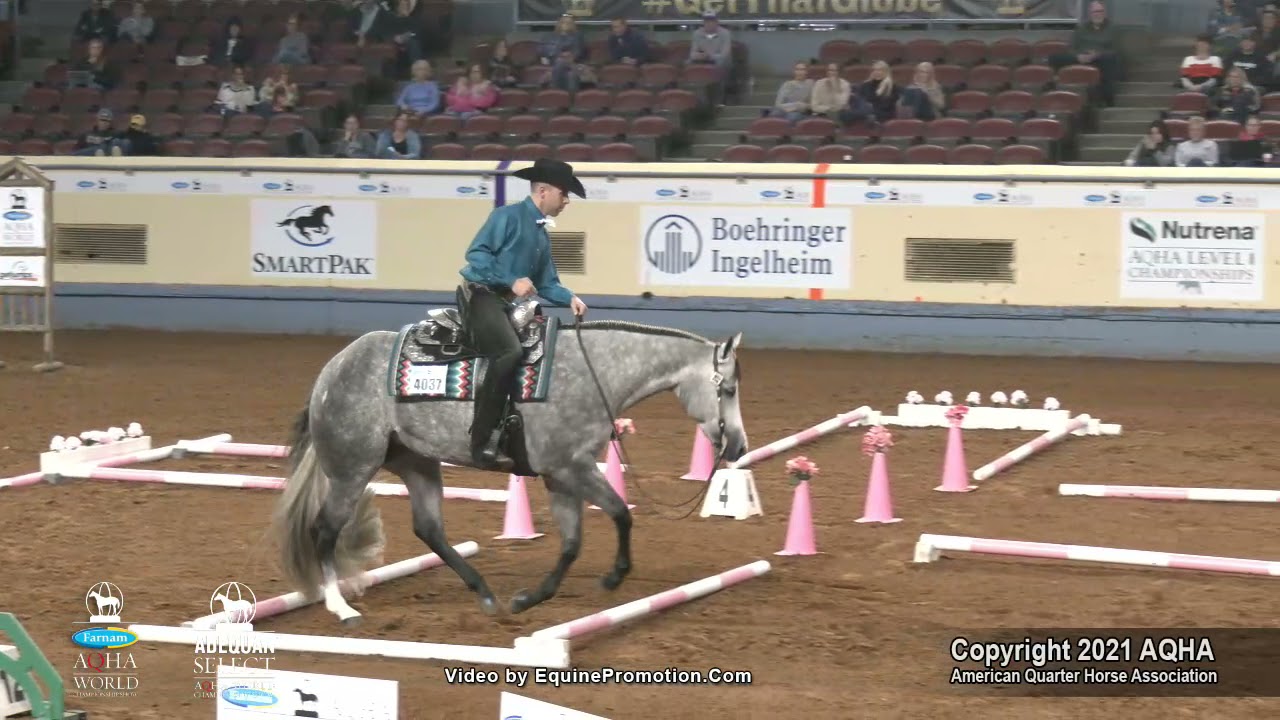 2021 AQHA Junior Trail - YouTube