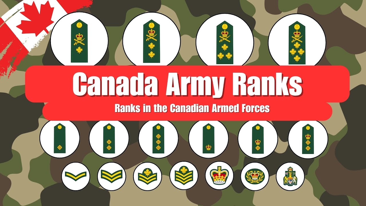 Canadian Army Ranks | Chain of Command Structure - YouTube