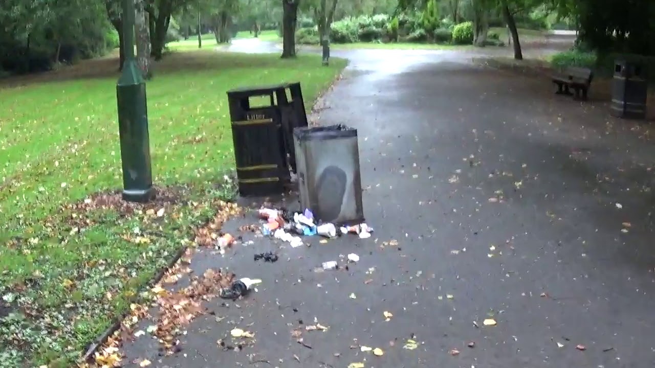 #tameside Tameside Parks Nature Wildlife Birds Summer Sun Trees - YouTube