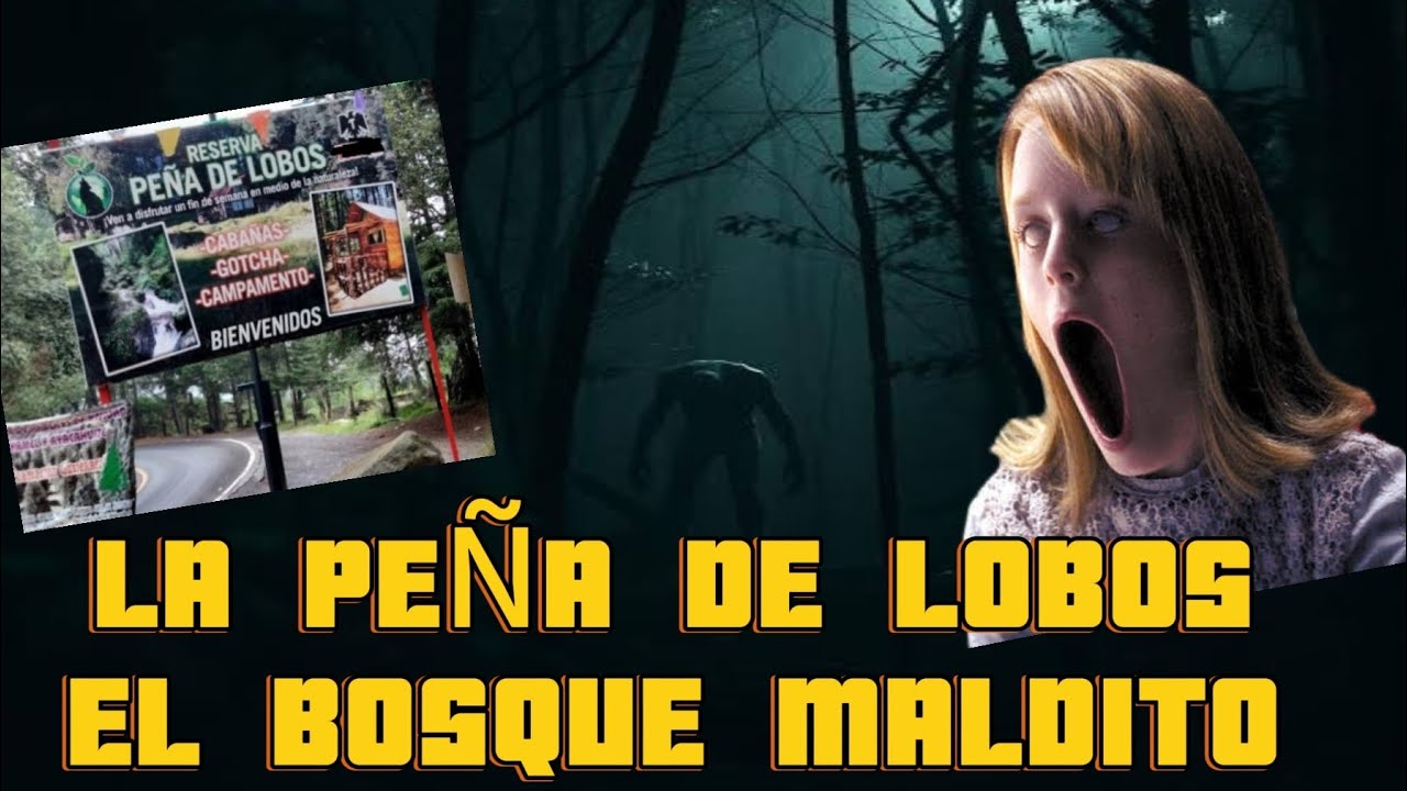 El Bosque Maldito De México | La Peña De Lobos Jilotzingo - YouTube