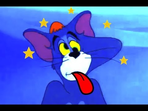 Tom and Jerry Classic Collection - Nit Witty Kitty - YouTube