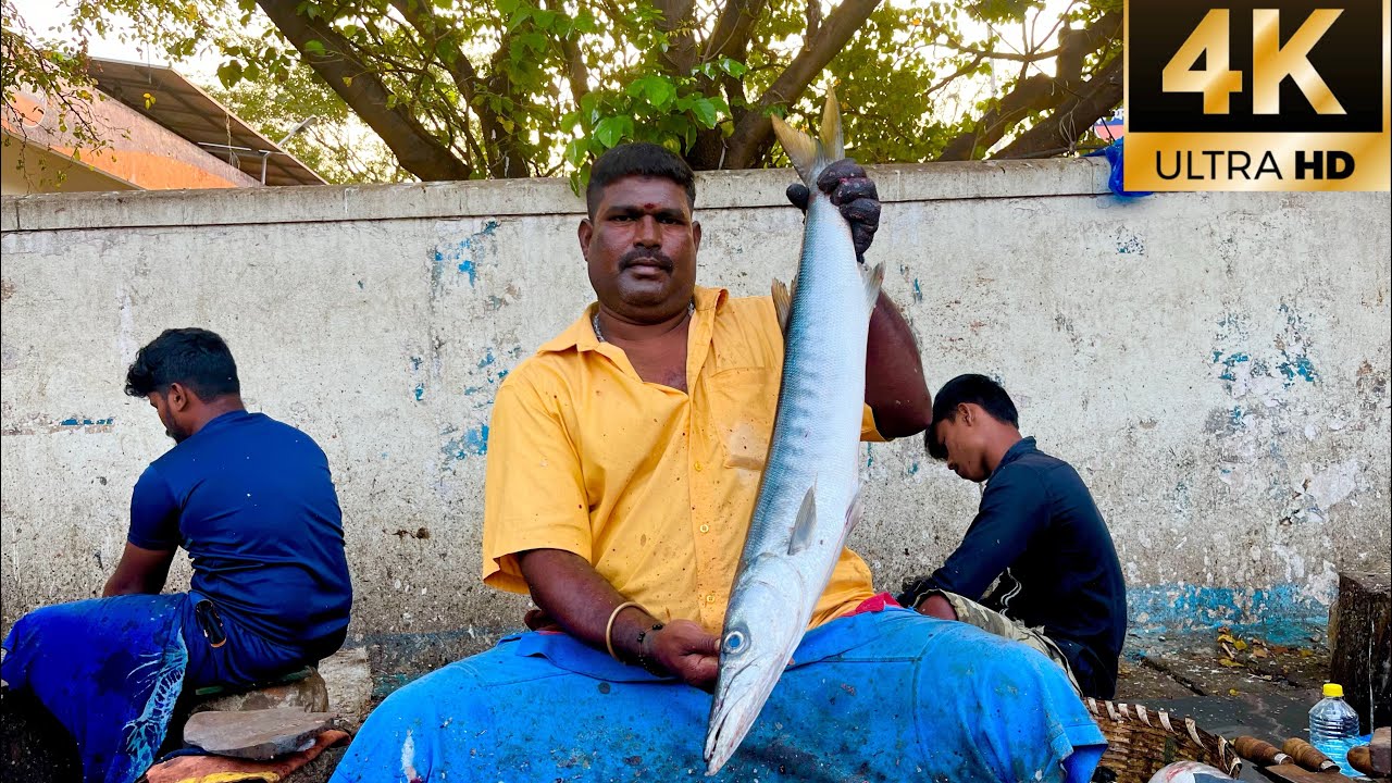 Sila fish cutting video/fishcuttingrs#fishcuttingrs #fish #kasimedu ...