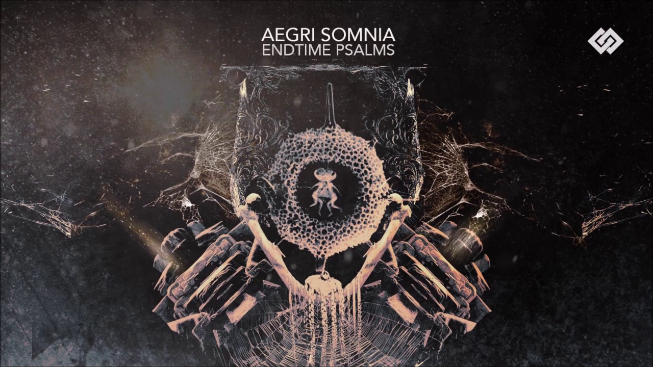 Aegri Somnia - C A H R - YouTube