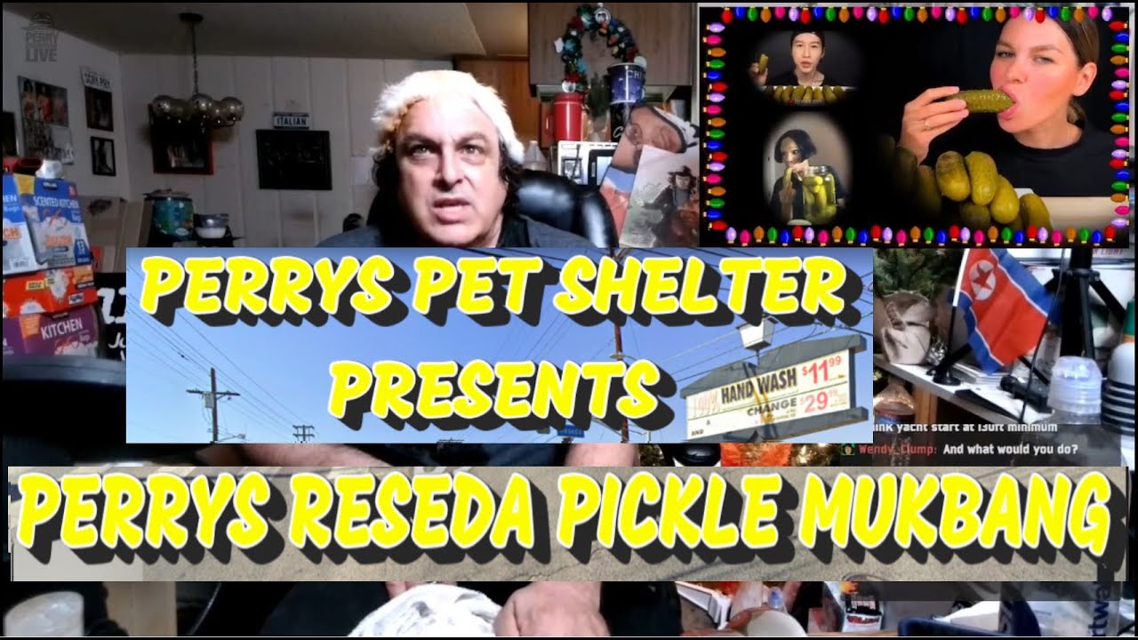 Perry Caravello Watches - Perrys Pet Shelter - Perry Caravellos Reseda ...