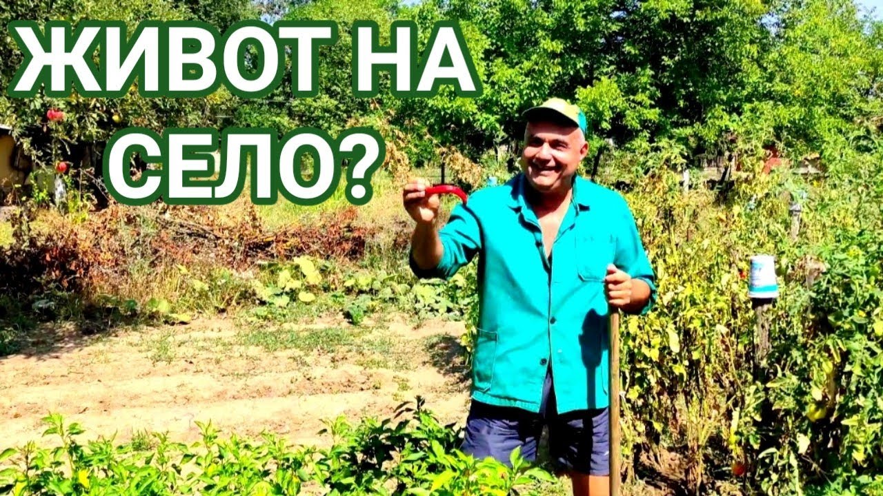 КАК СЕ ЖИВЕЕ НА СЕЛО КАКВО ДА ОЧАКВАТ НОВИТЕ СОБСТВЕНИЦИ ОТ СТАРАТА
