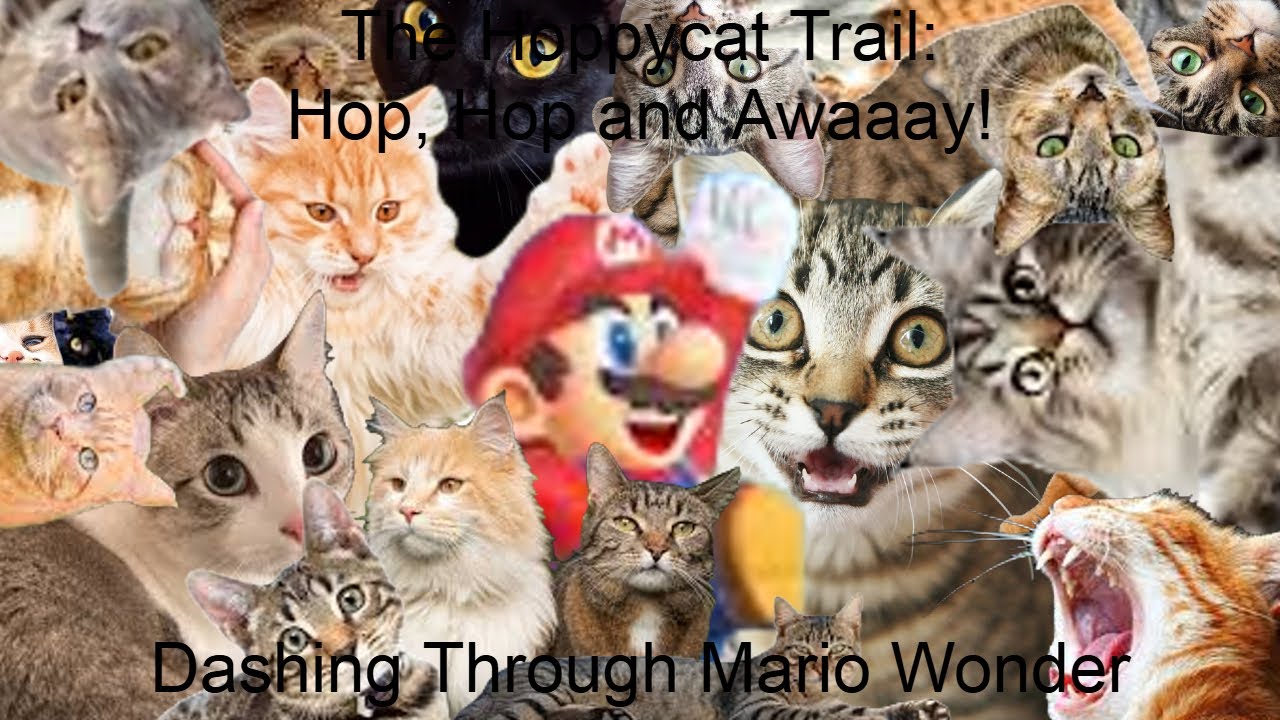"The Hoppycat Trial: Hop Hop and Awaaay" Dashing Through Mario Wonder ...
