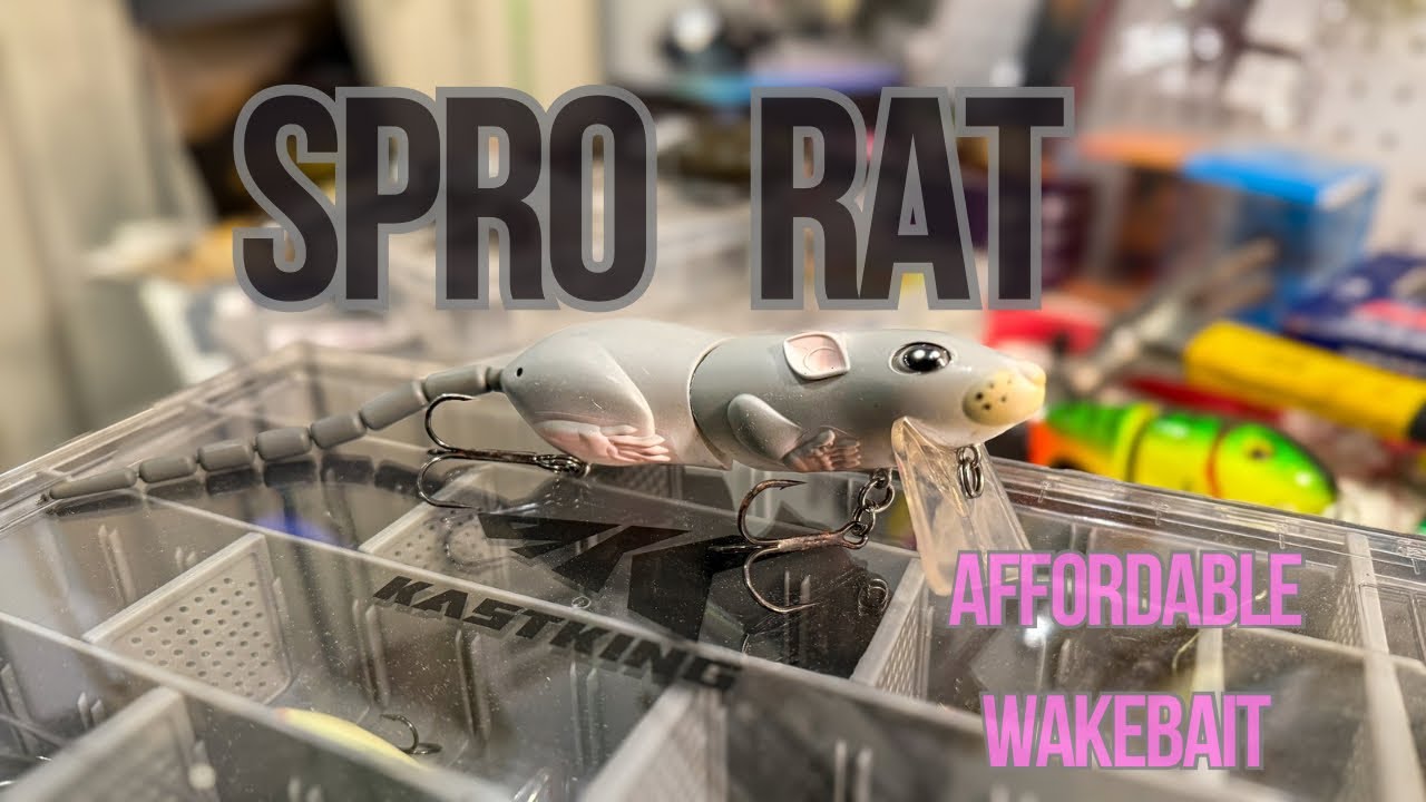 Affordable Wakebait for Beginners! - SPRO RAT - Tackle Tuesday Ep. 51 ...