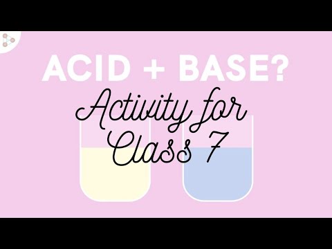 Activity for Class 7 | Acid & Bases | Science CBSE - YouTube