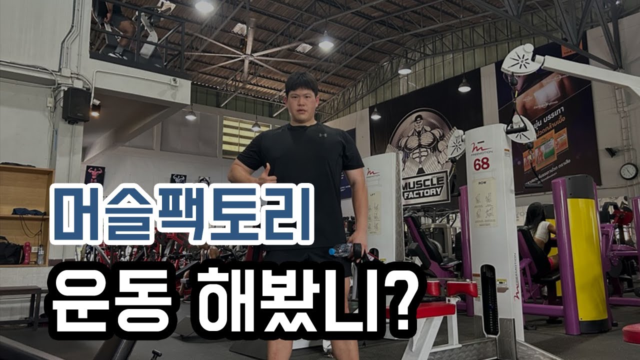 머슬팩토리 v-log(Work-out at Muscle Factory Bangkok) - YouTube