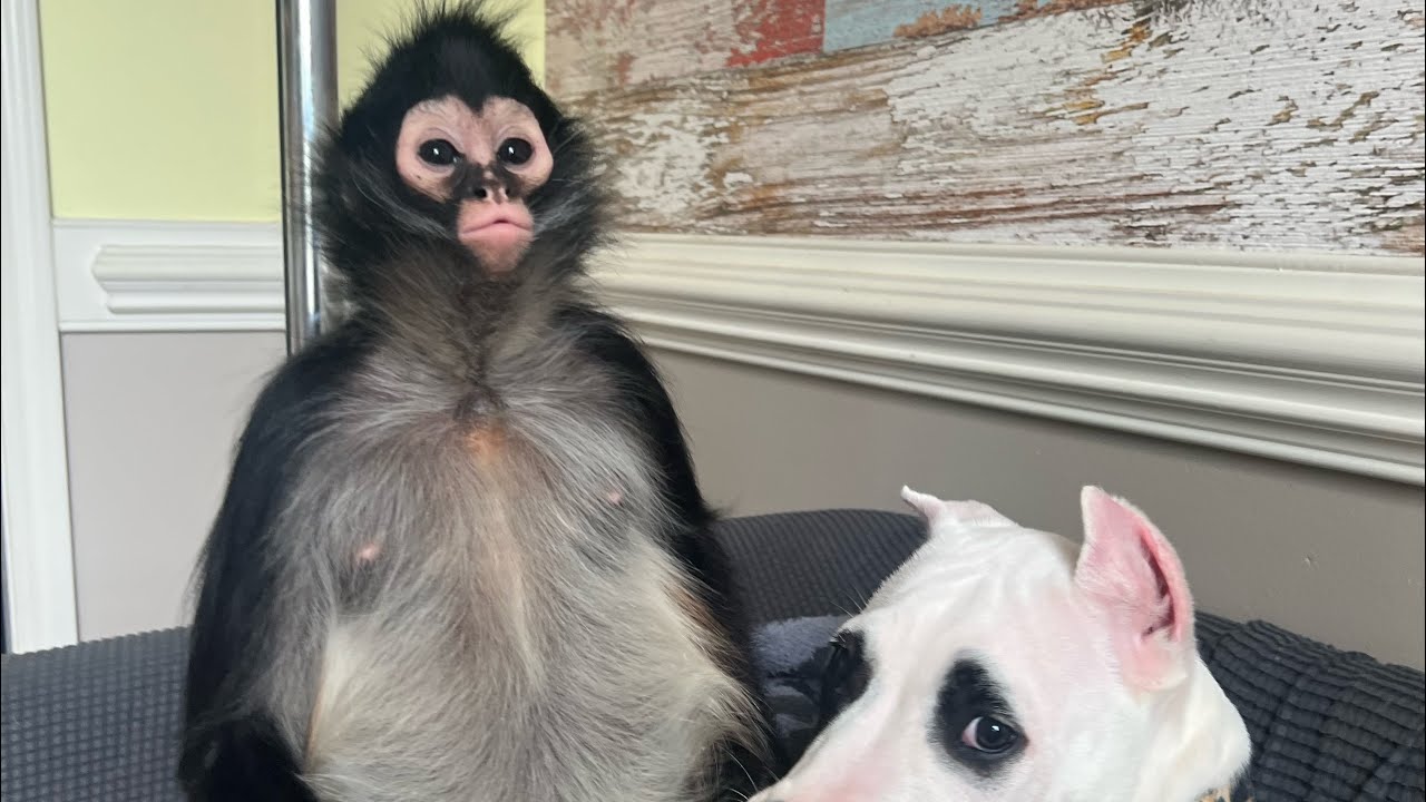 Snippet of a day with these 4… Keke Is only getting warmed up 🤣 - YouTube