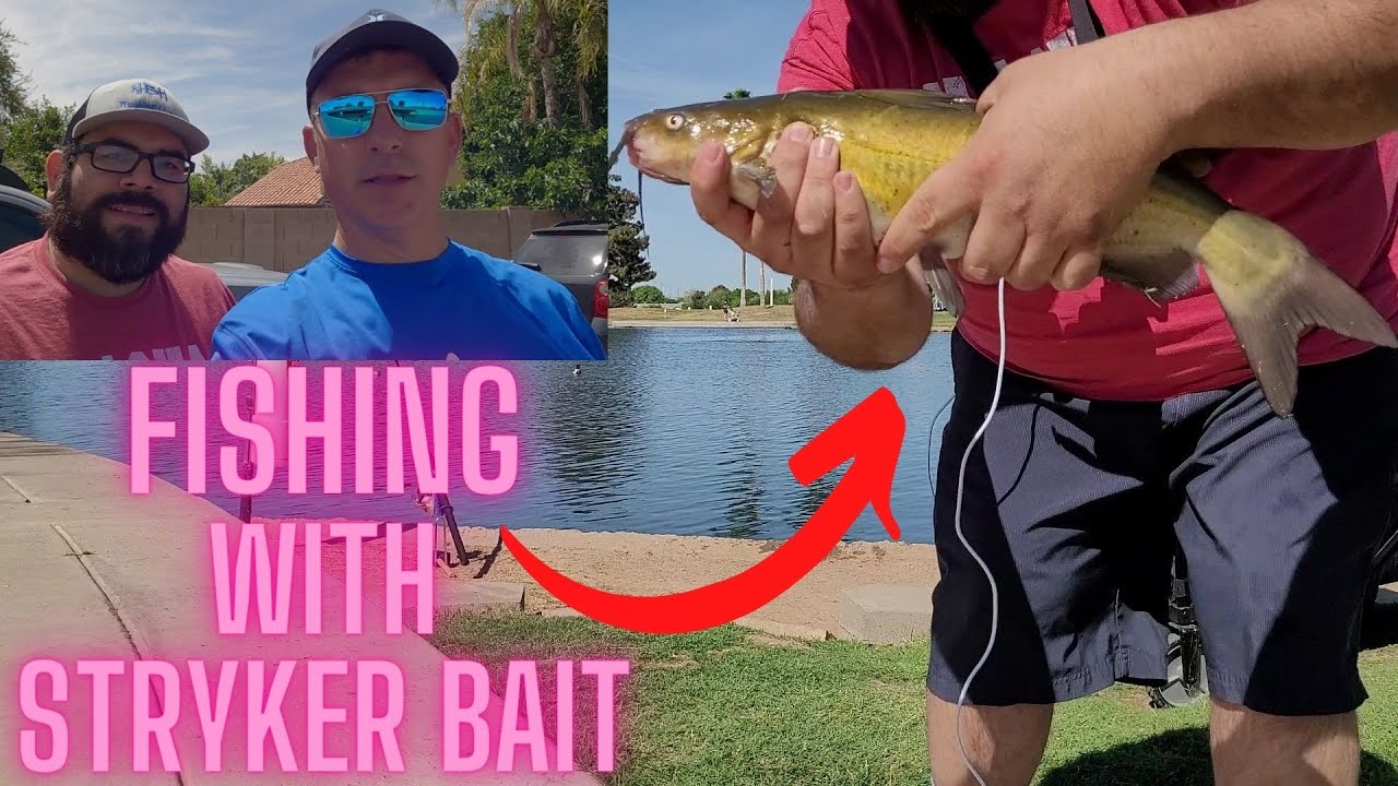 Fishing with Subscribers - Mark from Fishing with Stryker Bait - YouTube