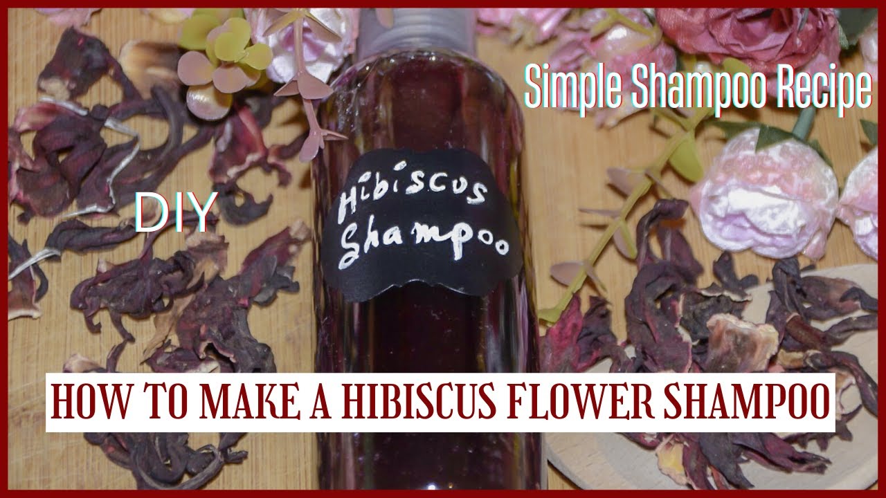 DIY Hibiscus shampoo | Homemade shampoo for hair growth - YouTube