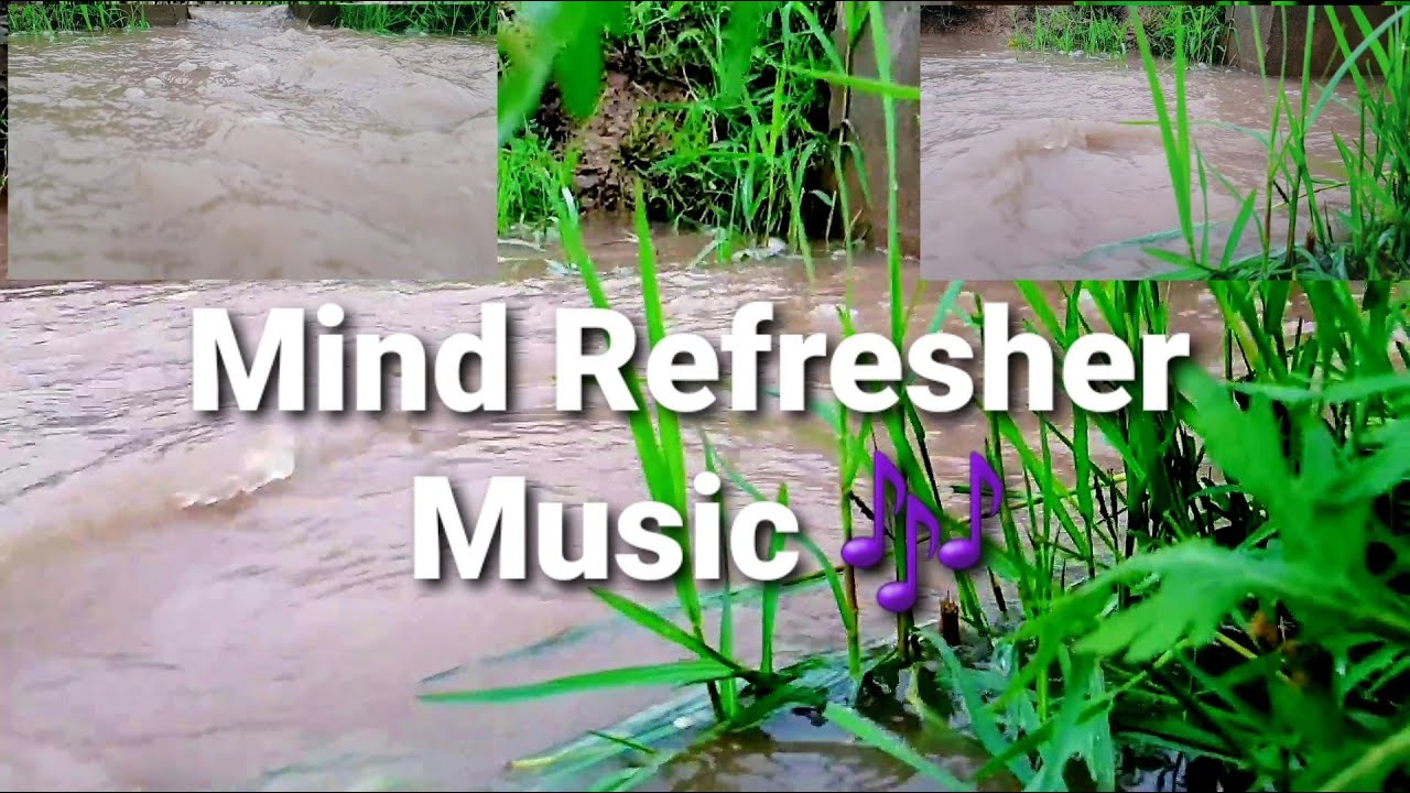 Beautiful Mind Refresher Music, Calming Music, Meditation, Relaxation ...
