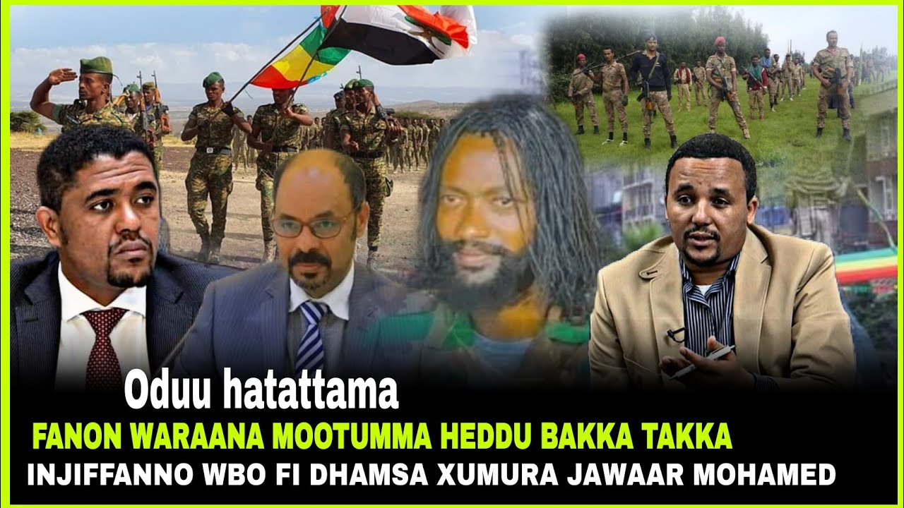 Oduu hatattama lola nannoo amhara fano fi wbo July 29, 2023 - YouTube
