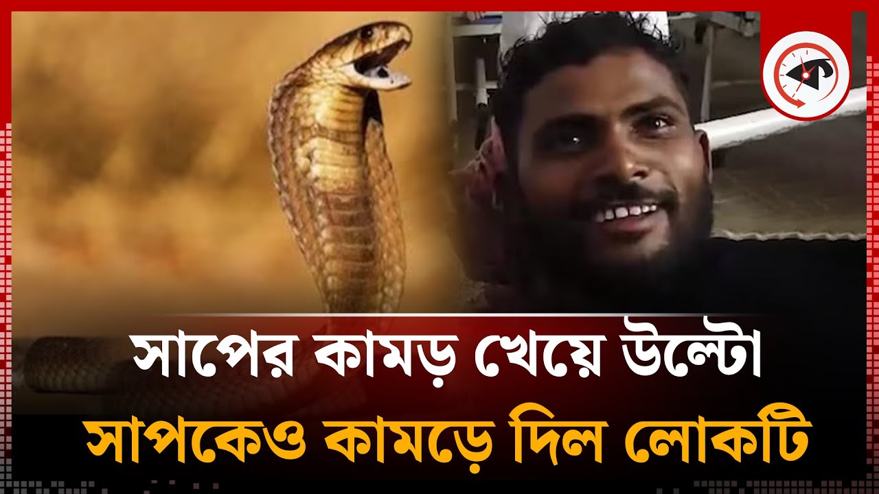 এবার মানুষের কামড়ে সাপের মৃ’ত্যু | Man Bite Snake | Snake | Kalbela - YouTube