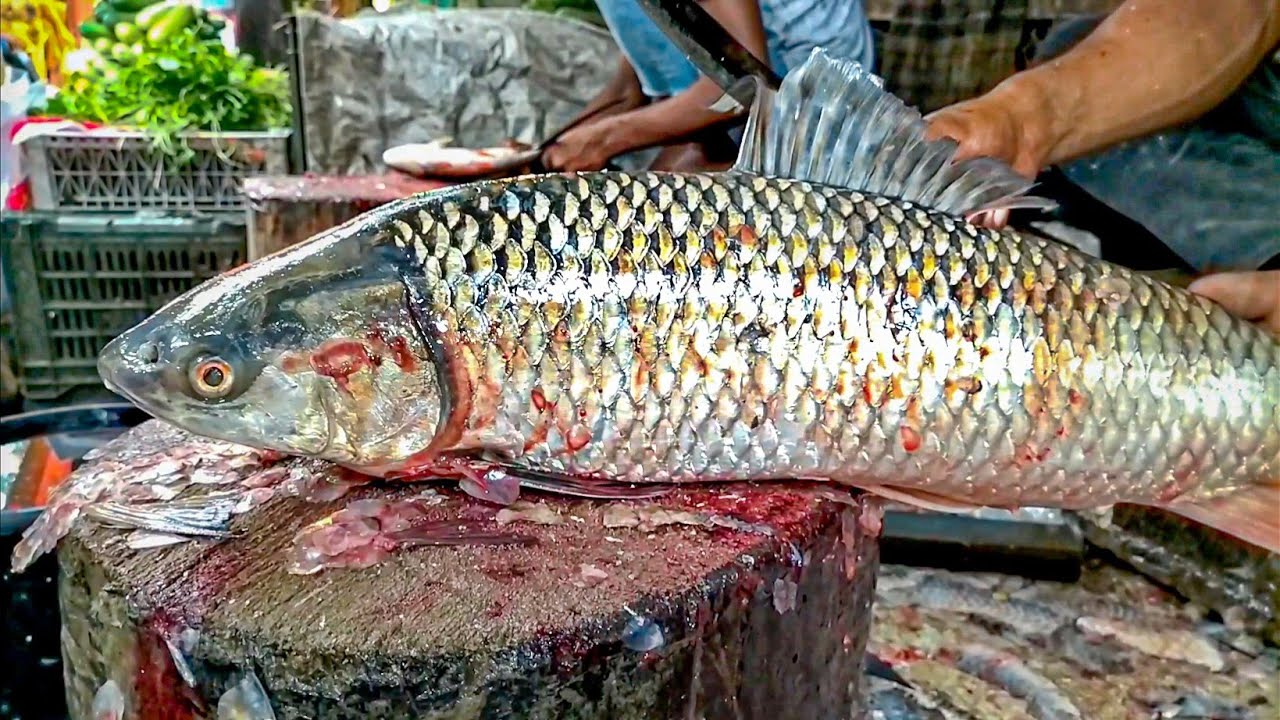 Excellent Mrigal Fish Skills Of Cutting Fish | Big Mrigal Fish Cutting ...