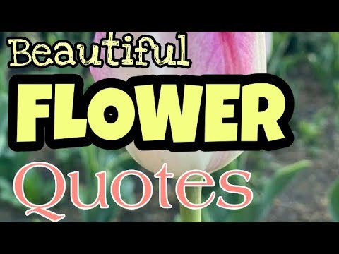 Top 17 Flower Quotes || Flower-quotation Collection