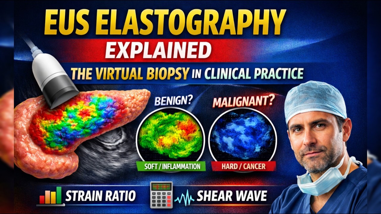 EUS Elastography Explained: The Virtual Biopsy in Clinical Practice ...