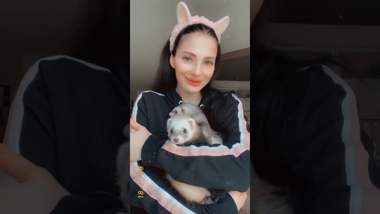 In memory of Meat (ferret kid) - Little Reislin - YouTube