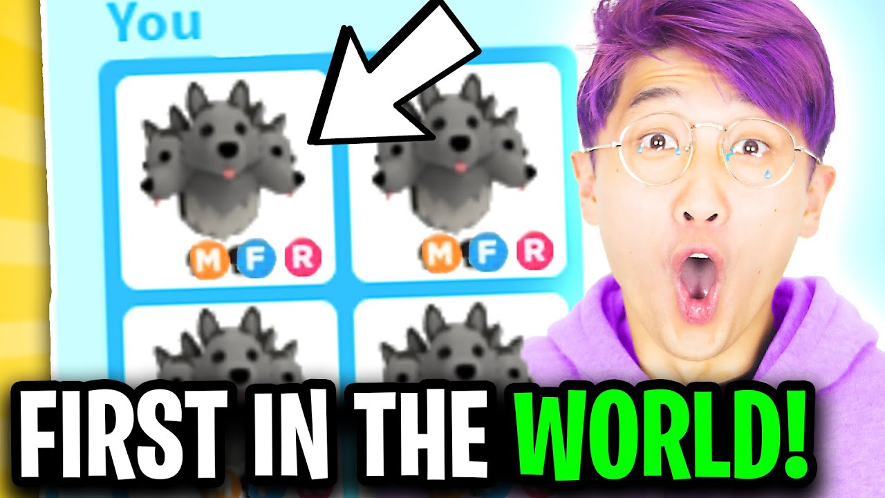 LANKYBOX SURPRISES BEST FRIEND With HALLOWEEN DREAM PET In ADOPT ME ...