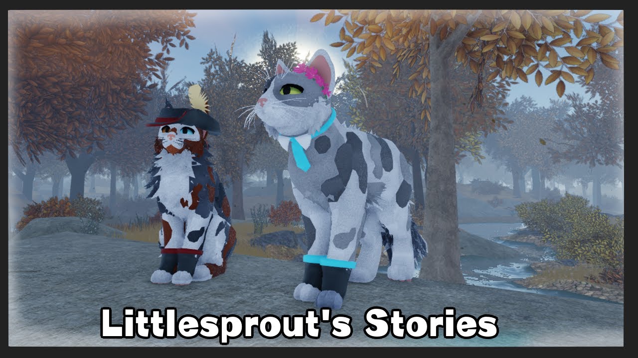 WCUE Update: Pirate Hat and Soles Item - YouTube