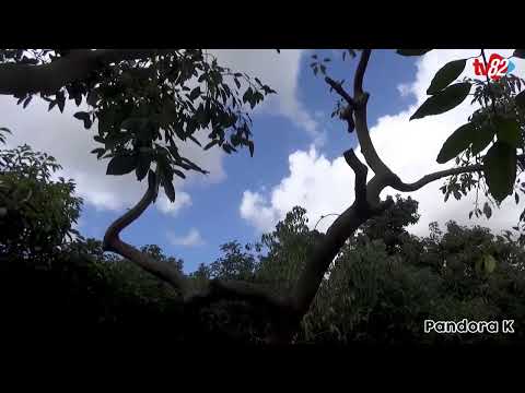 HASAT ZAMANI | Kayabaşı Köyü