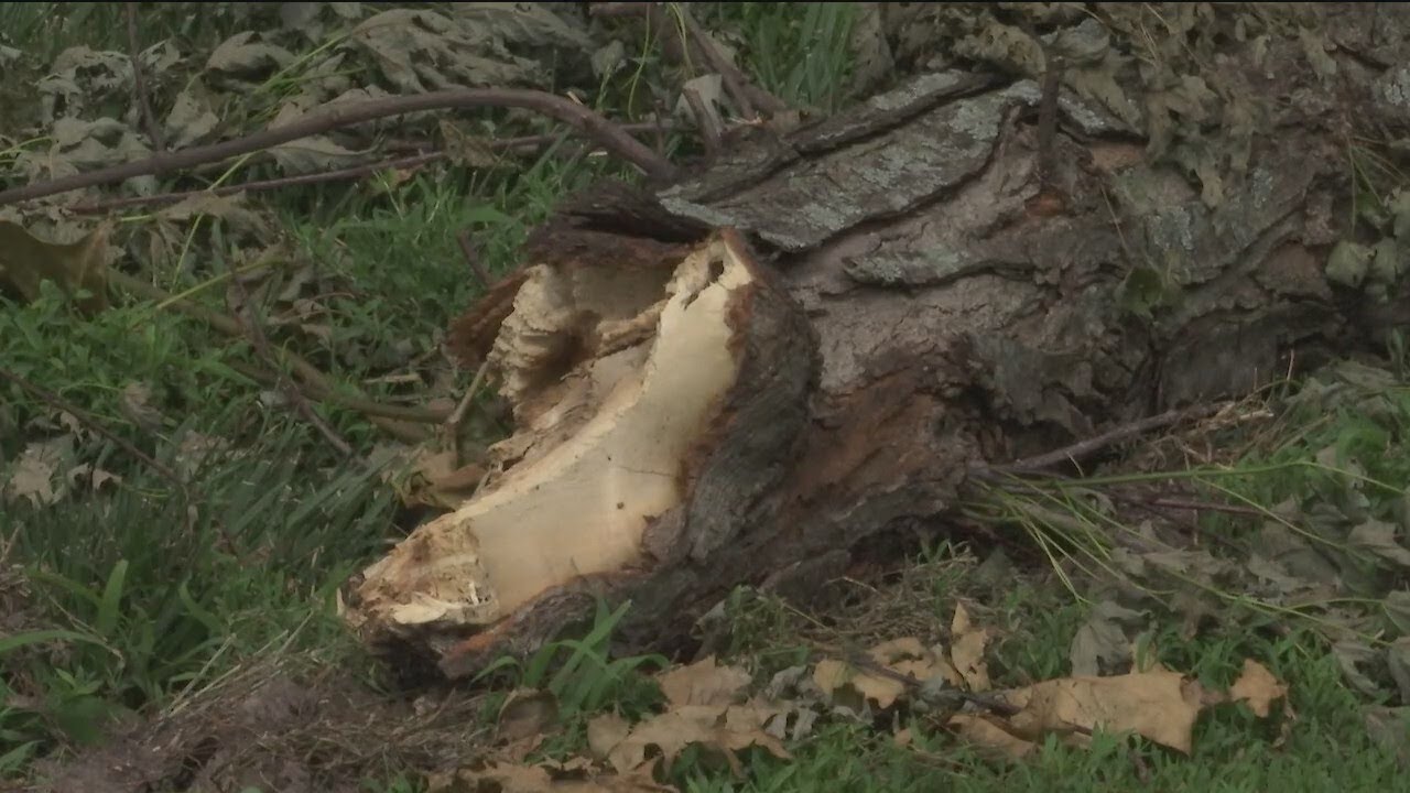 Neighbors step in to help with Topeka storm damage cleanup - YouTube