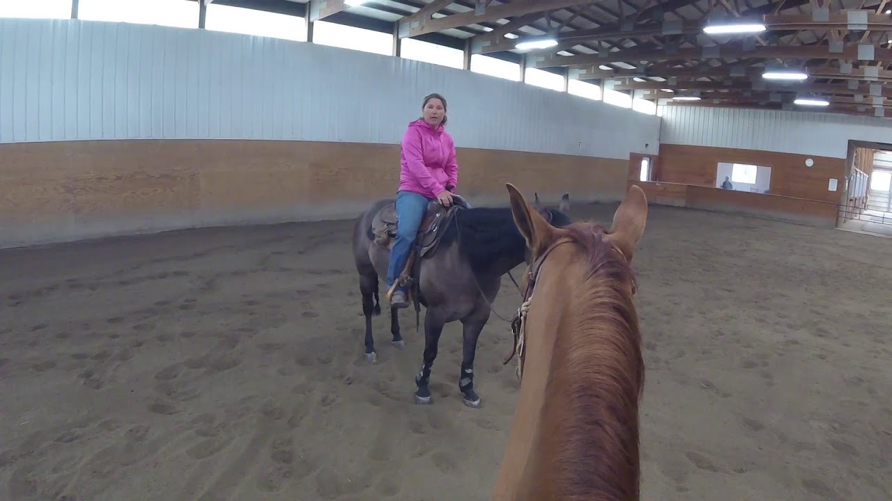 Brandy Murphy Professional Reining HorseTrainer Transition from Fast to ...