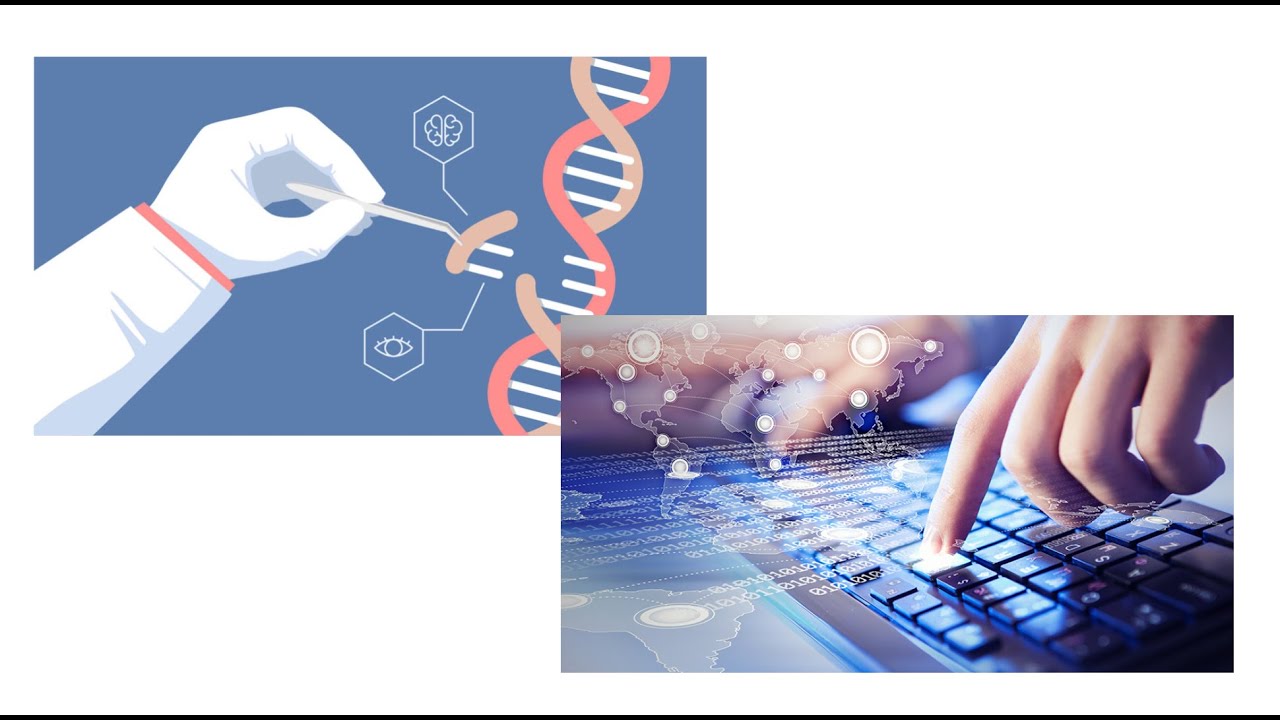 Software Engineering and Genetic Engineering: what's in common? - YouTube