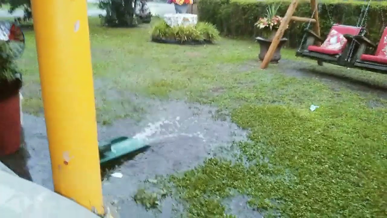 Raining Down The Sprout Pipe - YouTube