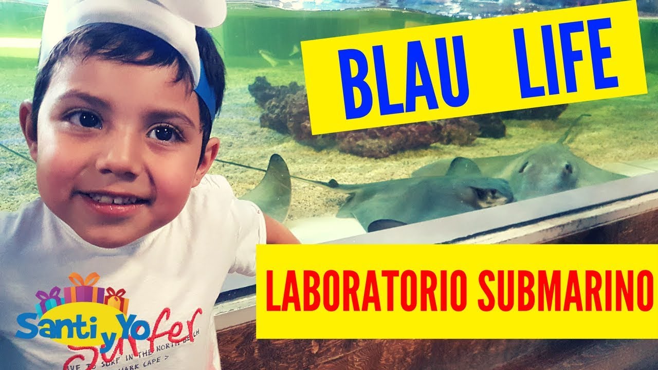 LABORATORIO SUBMARINO BLAU LIFE - YouTube