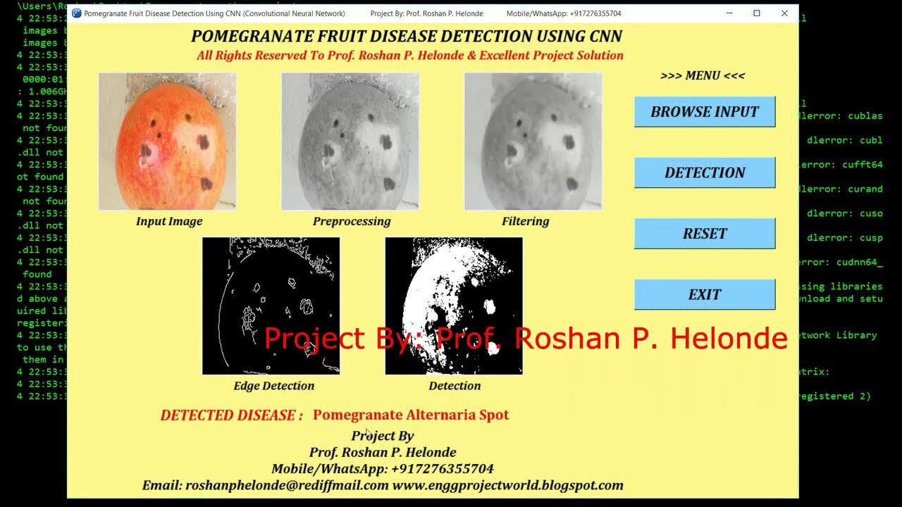 Pomegranate Fruit Disease Detection Using CNN | With Source Code Fruit ...