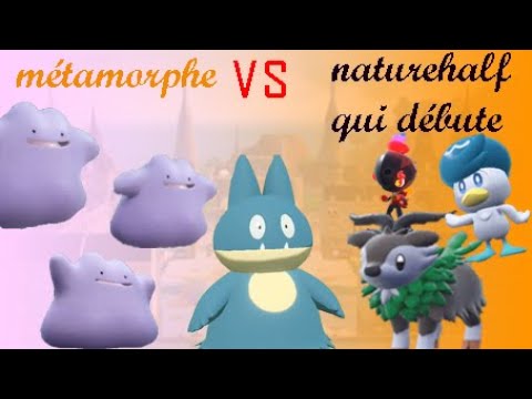 Combat pokémon métamorphe vs @naturehalf sur pokémon écarlate et violet ...