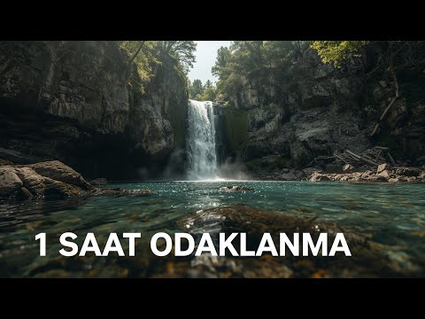 Beyninizi Sıfırlayan Ses: 1 Saatlik Nehir Sesi (Odaklanma, Uyku ) | River Sounds to Reset Your Mind