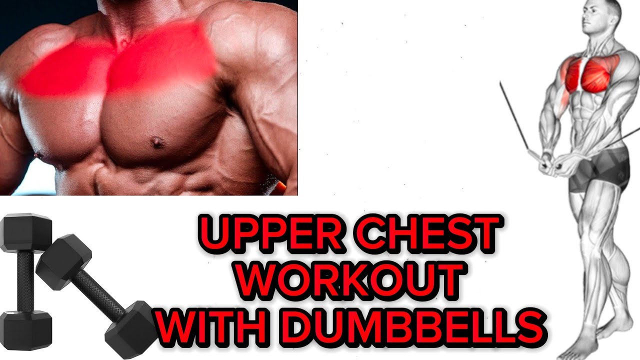 Upper chest workout|| Upper chest workout with dumbbells at home # ...