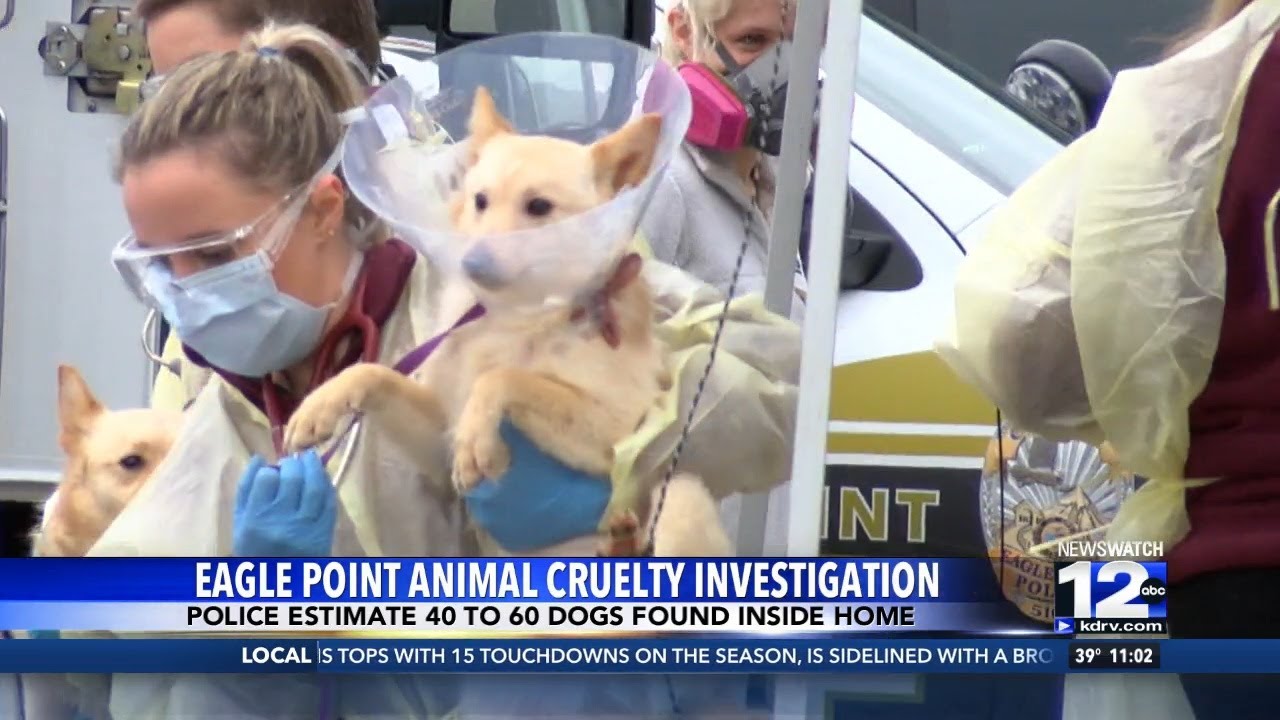 Eagle Point Police arrest woman after 30 dead, 54 live dogs found in ...