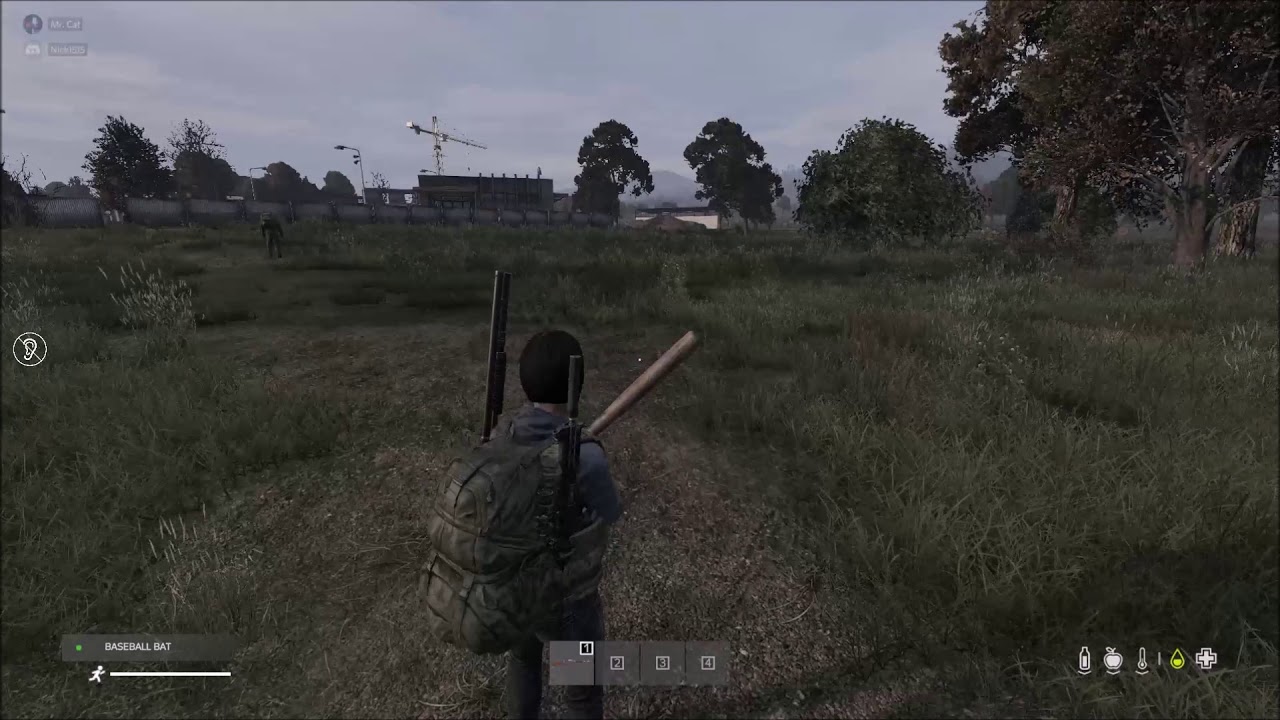 DayZ Playing baseball - YouTube