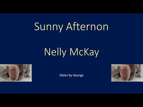 Nelly McKay   Sunny Afternoon  KARAOKE