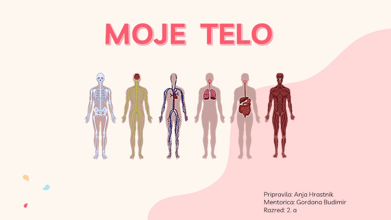 SPO: Moje telo - YouTube