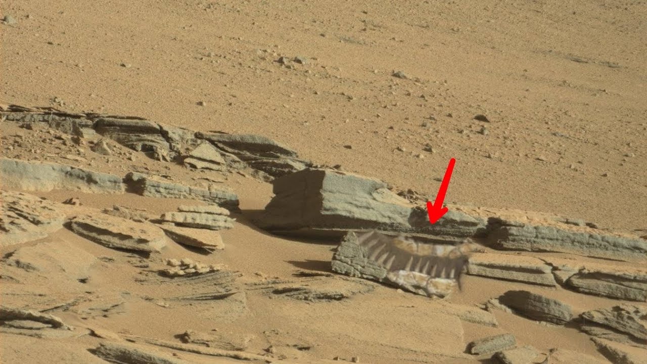 Mars Perseverance Rover Captured a New 4k Video Footage of Mars||New ...